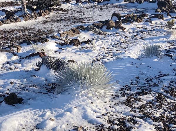 Summit reopens after some winter ice, snowfall | News, Sports, Jobs ...